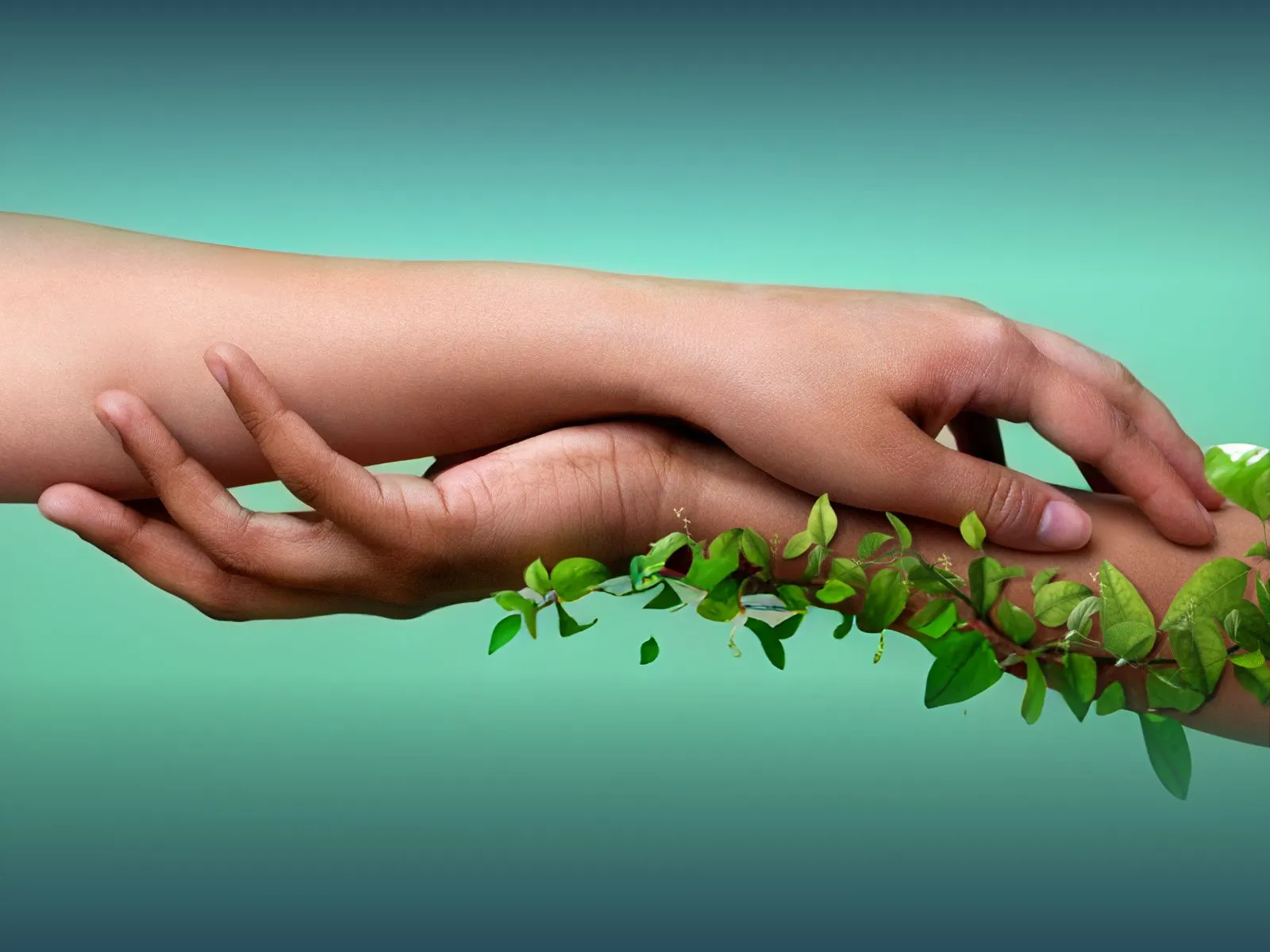 Mani screpolate, rimedi naturali per idratarle – Origine Naturale